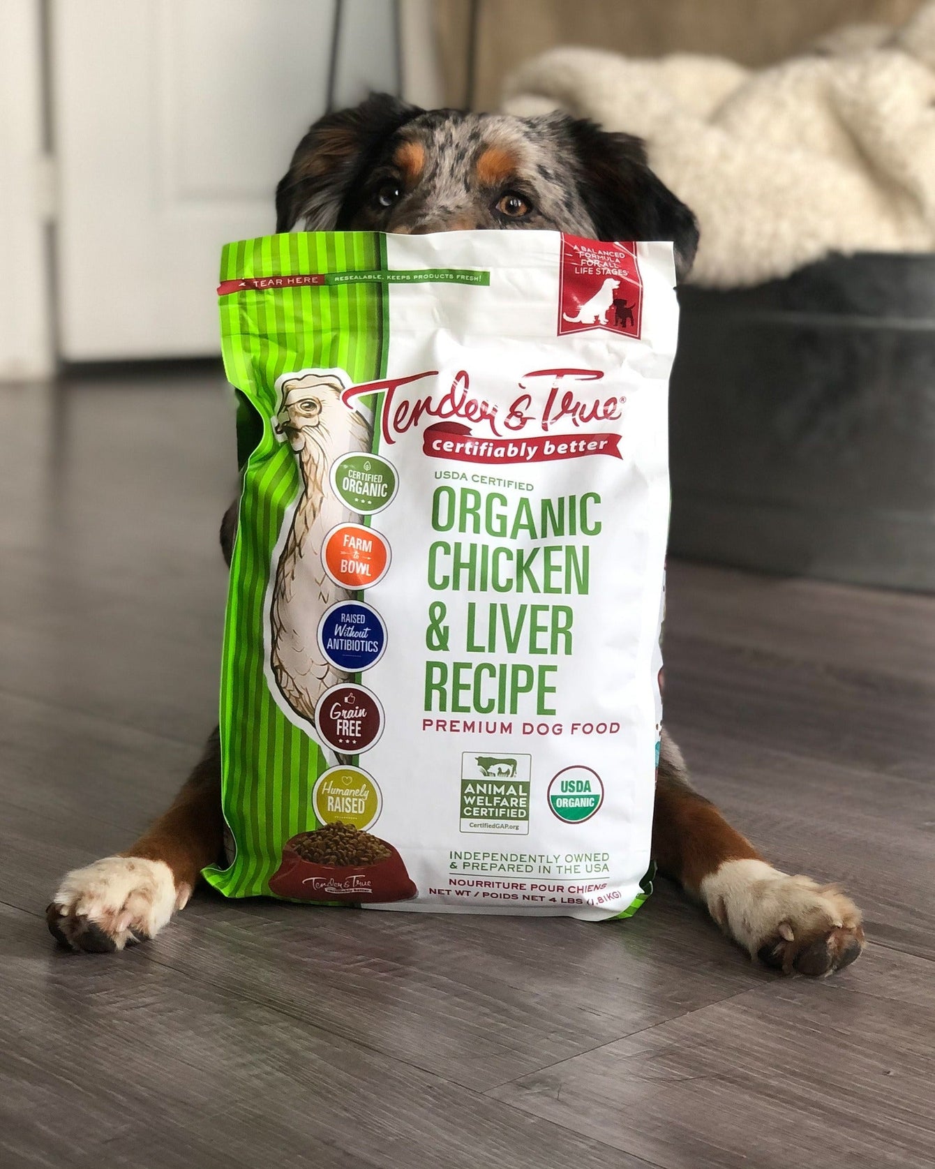 The Best Organic Dog Food for Health-Conscious Pet Parents – Tender ...